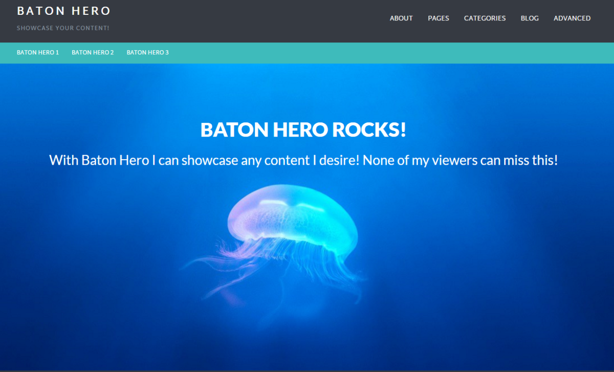 Baton WordPress theme: Hero Widgets - Slocum Themes
